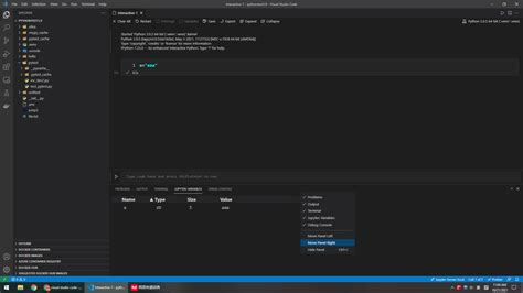 vscode python interactive window variable explorer tagmerge