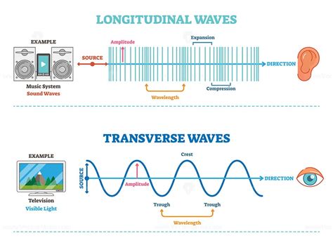 Types Of Longitudinal Transverse And Surface Waves Examples Outline