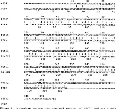 Figure 1 From Yeast Sequencing Reports Semantic Scholar