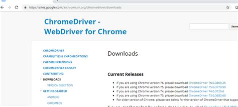 selenium c adding chrome driver to execute scripts on