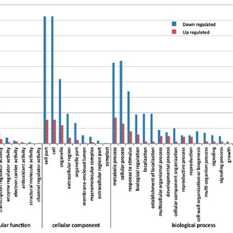 Gene Ontology Classification Of Down And Up Regulated Unigenes In
