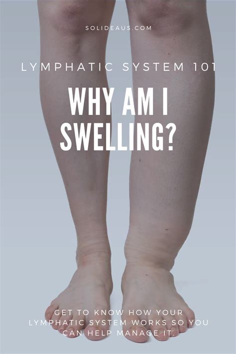 Understanding Our Lymphatic System And How It Works Artofit