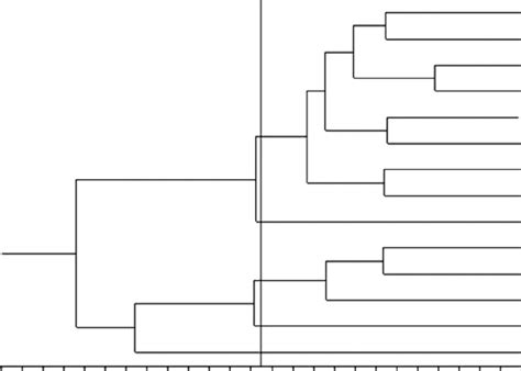 Dendrogram Depicting Genetic Relationships Among Rice Genotypes Based