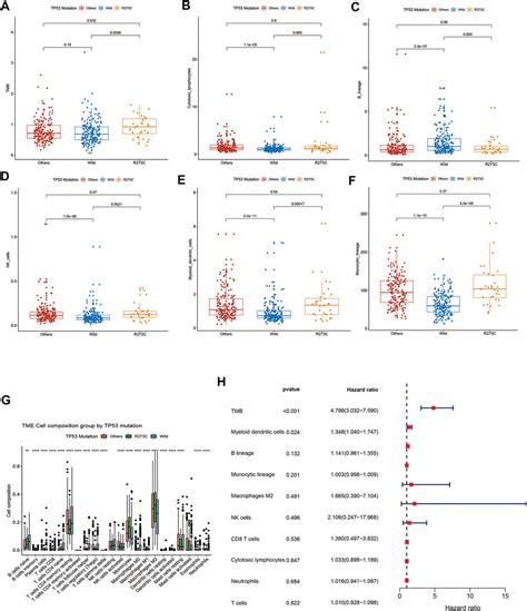 Frontiers Tp53 R273c Mutation Is Associated With Poor Prognosis In