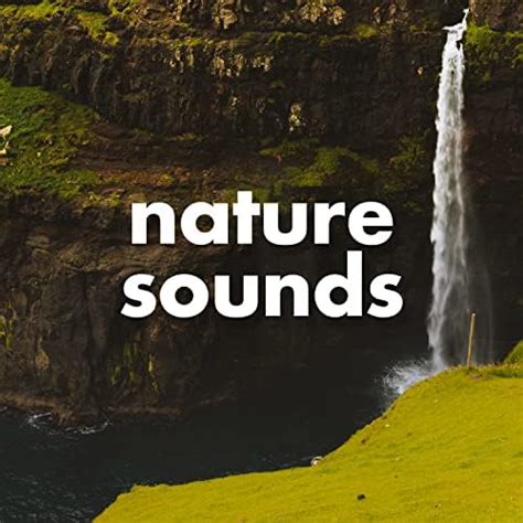 Amazon Music Unlimited 雨の音 『nature Sounds』