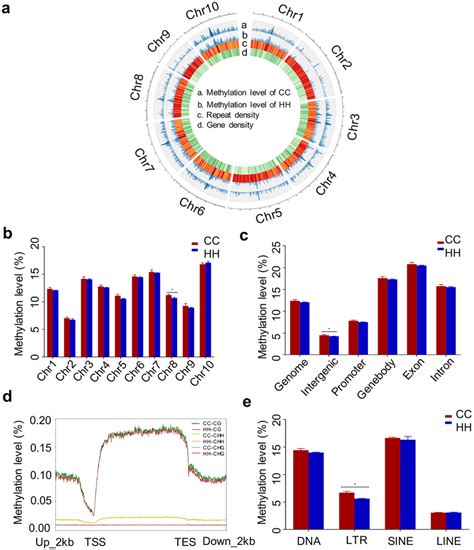 Dna Methylation Landscape Across The Genome And Within Protein Coding