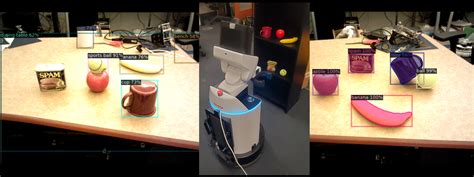 object detection and instance segmentation with detectron2 robotic