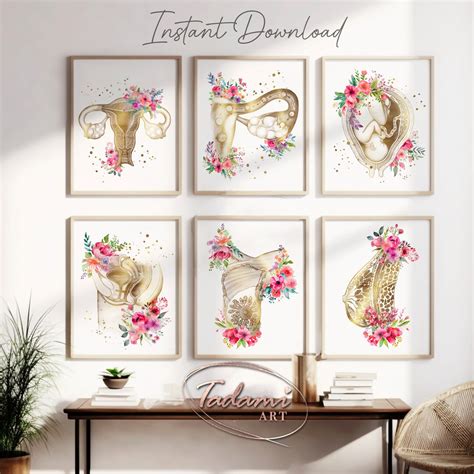 Women Anatomy Art Gynecology Poster Obgyn Wall Art Gynecologist T