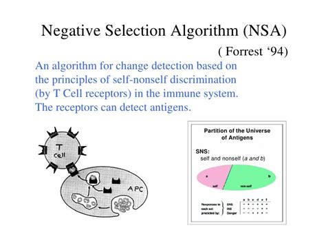 Negative Selection For Algorithm For Anomaly Detection