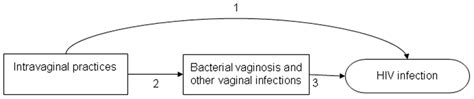 Simplified Hypothesized Pathways Linking Intravaginal Practices And
