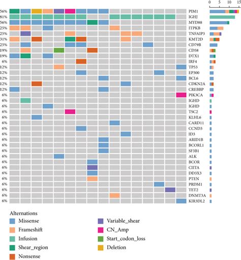 The Oncoprint Heat Map Indicates Mutational Spectrum Of 35 Oncogenes