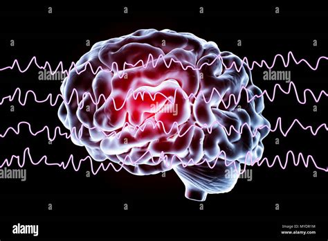 Brain And Brain Waves In Awake State During Rest Computer Illustration