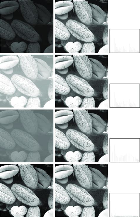17 a images from fig 3 15 b results of histogram equalization