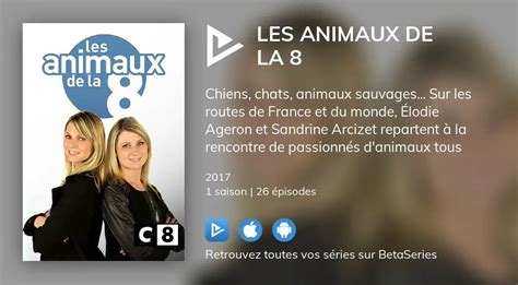 Regarder Les Animaux De La 8 Streaming