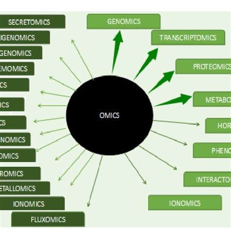 A Schematic Illustration Of Different Types Of Omics Technologies Big