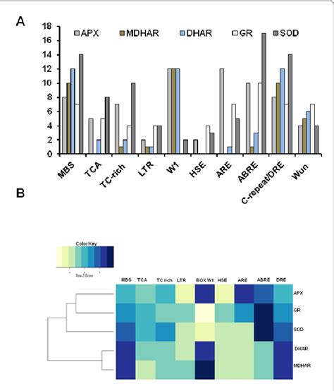 Figure 1 From Insilico Analysis Of Cis Acting Regulatory Elements Cares
