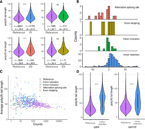 Poly A Length In Alternative Transcript Isoforms A Distribution Of