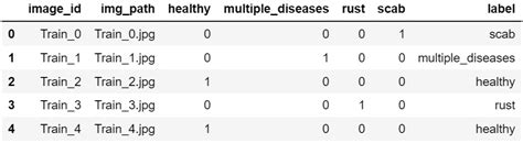 how to load a custom dataset on pytorch towards data science