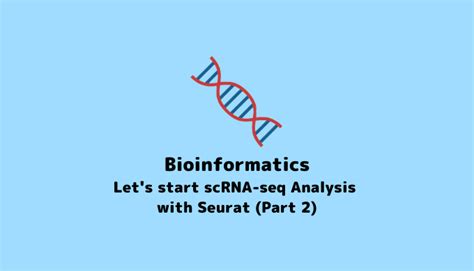【scrna Seq】 How To Start Scrna Seq Analysis Using Seurat Part 2