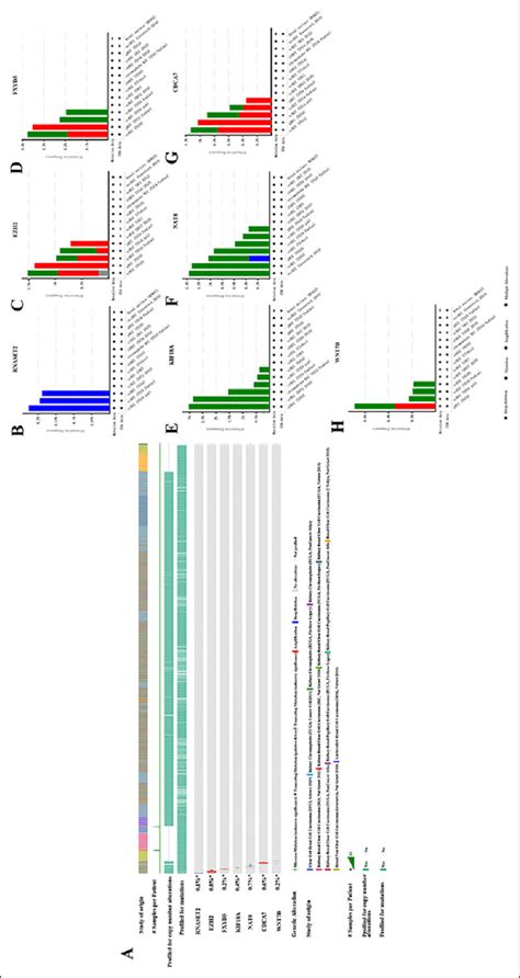 Genetic Alterations Of The Seven Genes A Oncoprint Display Of