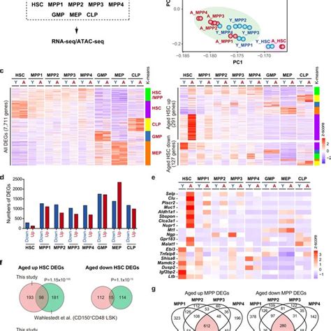 Altered Transcriptome Of Hematopoietic Stem And Progenitor Cells During
