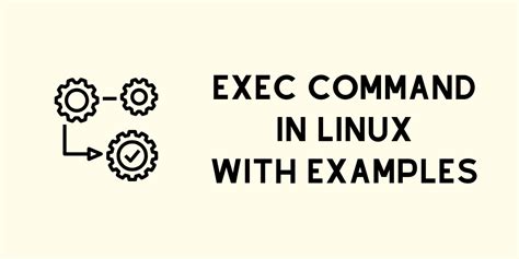 the exec command in linux [with easy examples] linuxfordevices