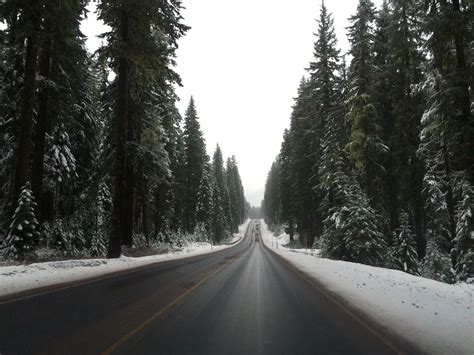 Free Images Tree Forest Snow Winter Road Weather Season