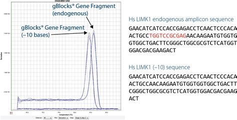 easily designed standard curves for qpcr