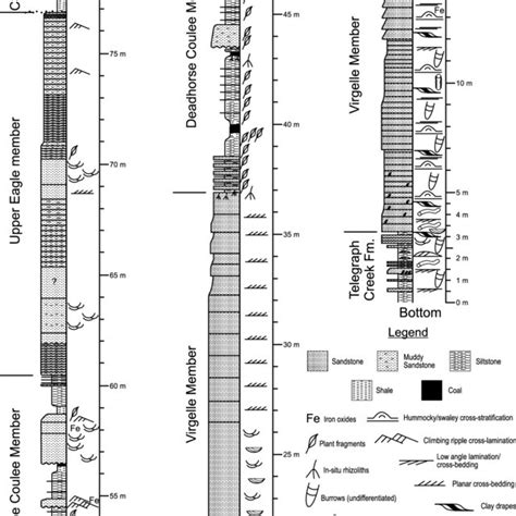 Biostratigraphic Correlation Of Outcrop Sections Showing Palynological