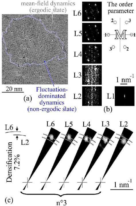 The Dynamical Phase Transition A Probing The Phase Transition The