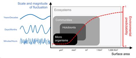 This Figure Aims To Represent Connections Between The Different