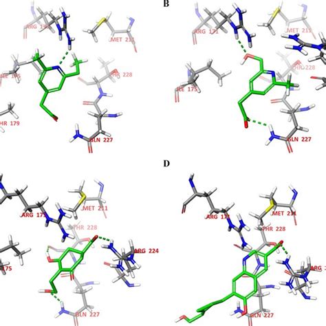 Calculated Binding Modes Of Compound 25 A Compound 42 B Compound