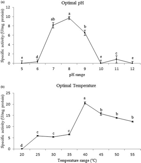 Effect Of Ph And Temperature On The Purified Trypsin Activity In The