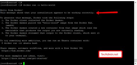 start docker daemon centos 8 release date about dock