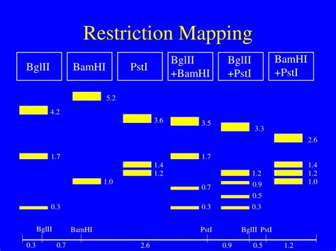 Ppt Week 11 Mapping Powerpoint Presentation Free Download Id 433565