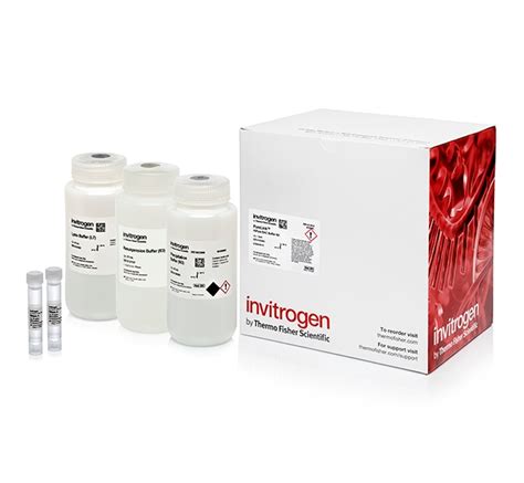 Invitrogen™ Purelink™ Hipure Bac Buffer Kit 1 Kit Dna Extraction And