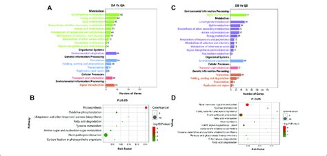 Kegg Annotation Of Degs From A Comparison Of The Transcriptomes Of