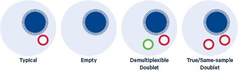 What Is Fixed Rna Profiling Software Single Cell Gene Expression