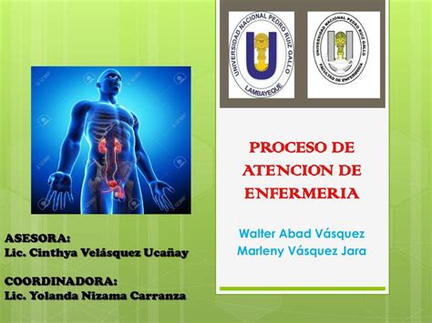 Proceso De Atención De Enfermería Ana Cecilia Paiva Vivanco Udocz