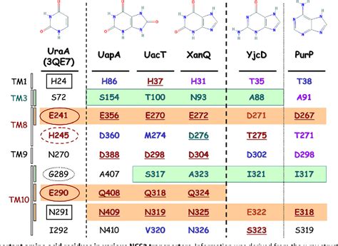 Figure 10 From Functional Identification Of The Hypoxanthine Guanine