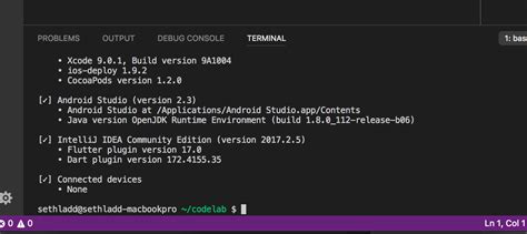 i wish for flutter doctor printed a one line summary at the very end