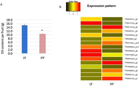 Comparative Transcriptomic Analysis Identifies Genes Responsible For