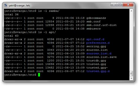 how do linux file permissions work