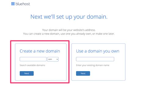 How To Buy A Domain Name Information Security Asia
