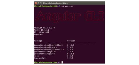 how to install angular on ubuntu set up angular on ubuntu