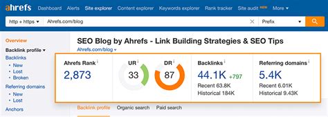 seo tools you won t believe are free spiralytics