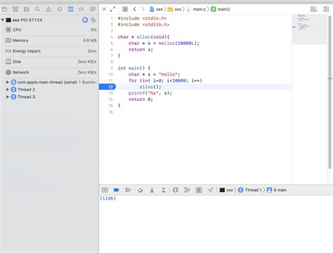 c a way to view memory allocation in xcode lldb stack overflow