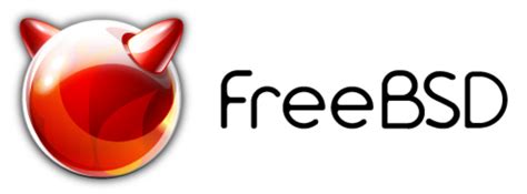 installing freebsd 11 3 and xorg on dell optiplex 5040 my