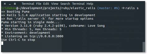 using elasticsearch in a rails application