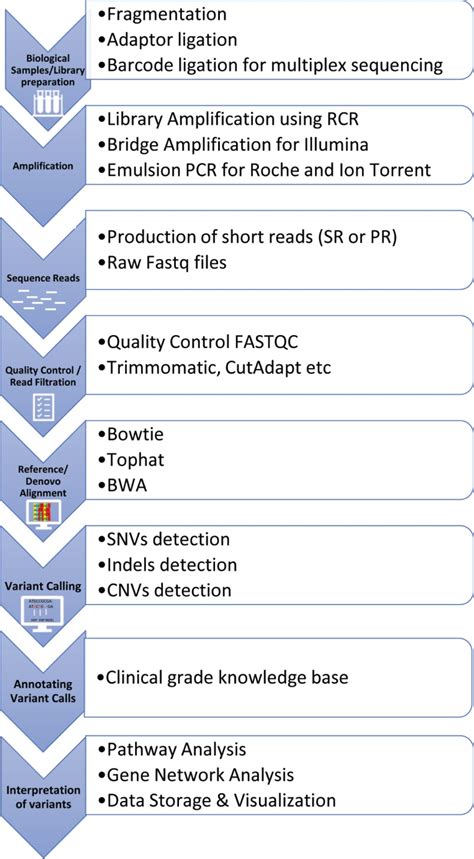 Figure 4 [overview Of Ngs Data Analysis ] Computational Biology